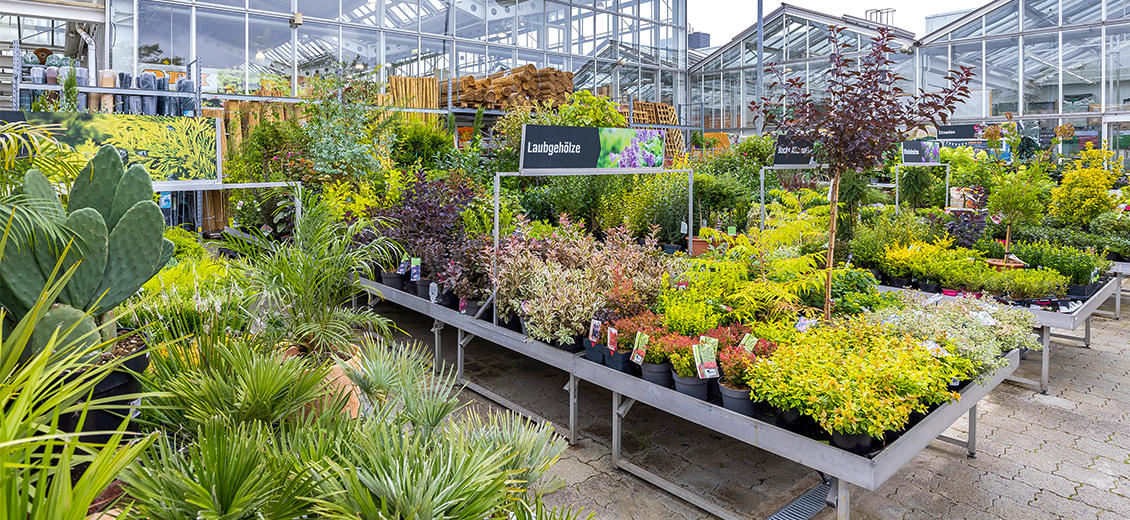 Dein OBI Markt Bonn-Süd, Godesberger Str. 63